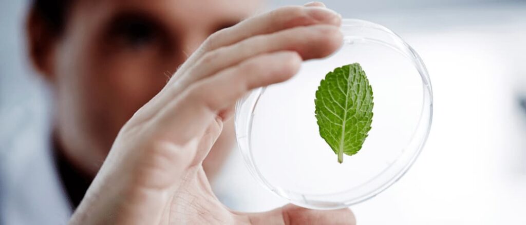 O que são plastificantes? - Resypar